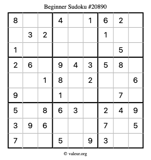 Beginner Sudoku Puzzle #20890