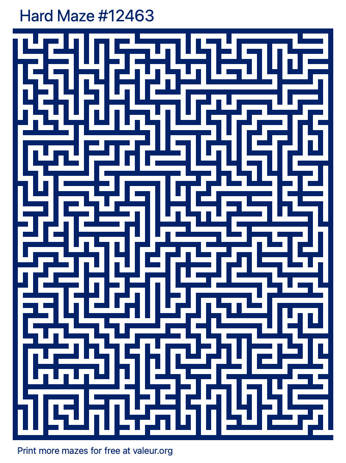 Free Printable Hard Maze with the Answer #12463